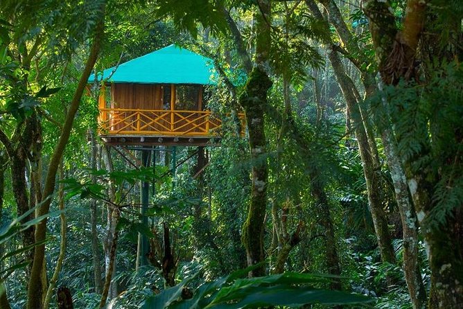 2 Nights Munnar Treehouse Escape with Private Car- Iris Holidays - Transportation and Logistics