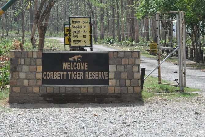 2 Nights Stay at Dhikala Zone in Jim Corbett National Park - The Experience: What to Expect from the Tour