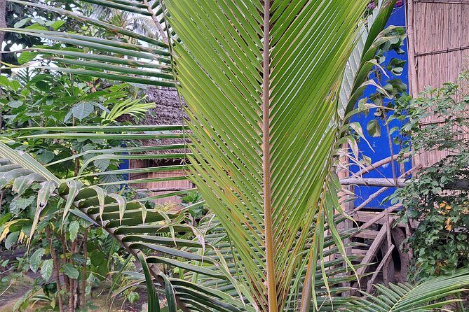2 Nights Stay in Tanna including Accommodation, meals & transfers - Exploring the Itinerary in Detail