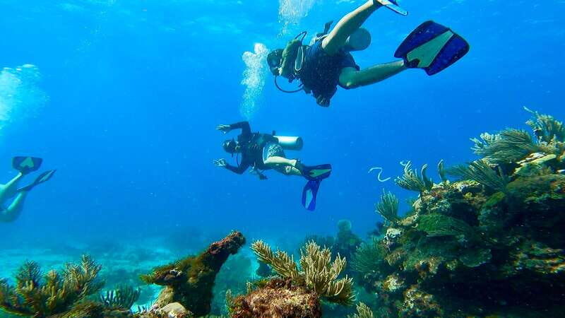 2 Ocean Dives: MUSA Underwater Museum and Manchones Reef - The Experience: What to Expect