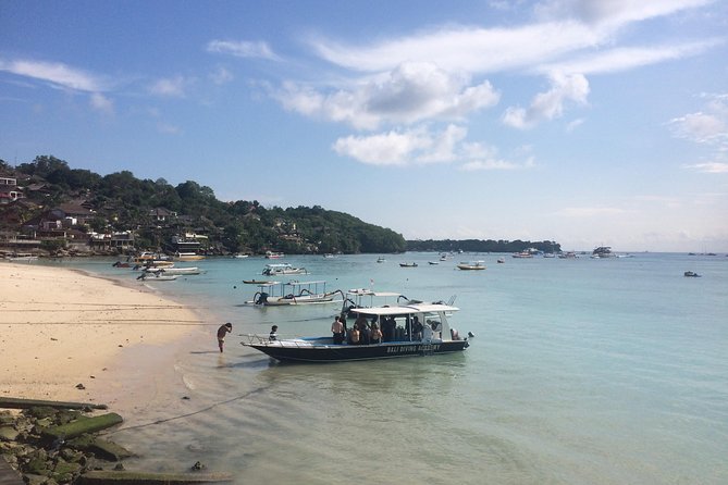 2 or 3 dives in Nusa Lembongan and Penida, for certified diver (in Lembongan) - Authentic Experiences and Customer Feedback