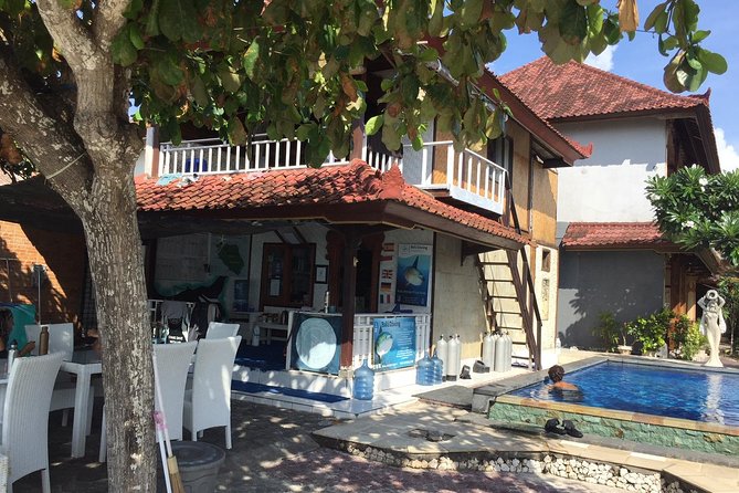 2 or 3 dives in Nusa Lembongan and Penida, for certified diver (in Lembongan) - The Sum Up