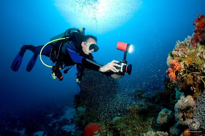 2 or 3 dives in Nusa Lembongan and Penida, for certified diver (in Lembongan) - Frequently Asked Questions