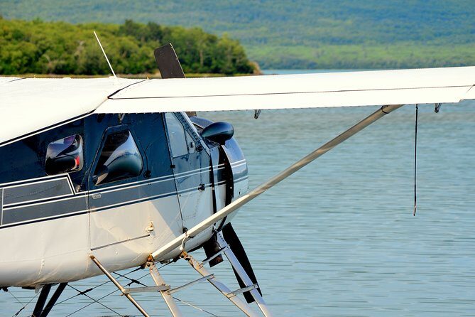 2 Park Bear Viewing Adventure to Katmai and Lake Clark NP - The Ground Experience: What to Expect