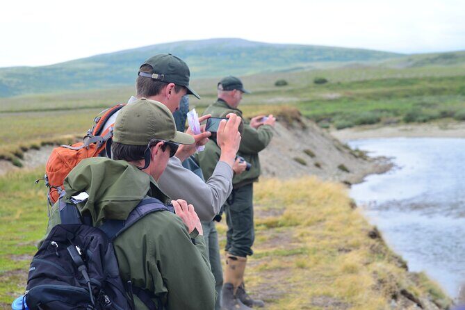 2 Park Bear Viewing Adventure to Katmai and Lake Clark NP - Reviews Highlighting the Experience: