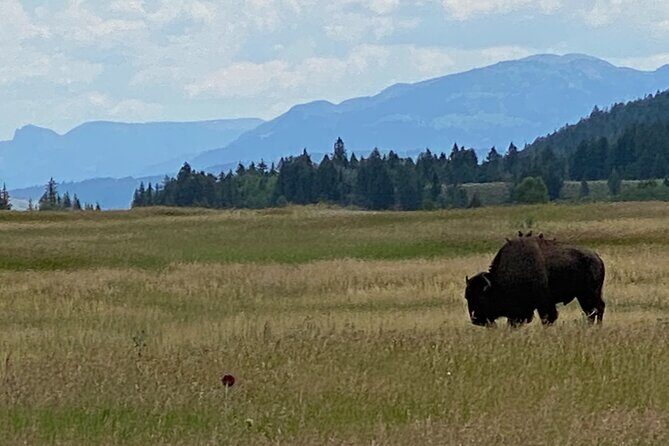 2-Person Grand Teton All-Day Private Tour - An In-Depth Look at the Tour Experience