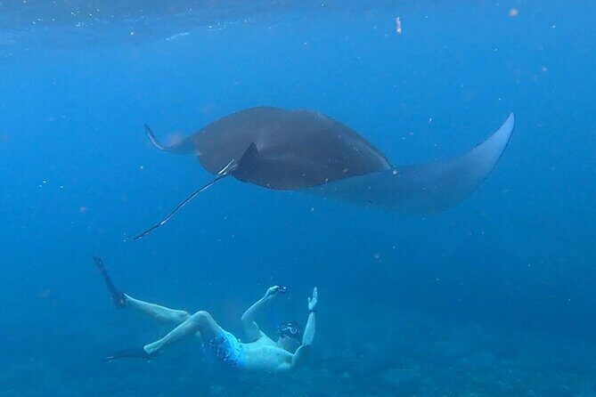 2 Spots Snorkeling Tour with Manta Rays point in Nusa Penida - What’s Included and What You Should Consider