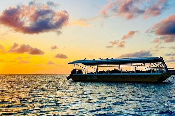 2 Stop Reef Snorkel and Glass Bottom Boat Adventure - The Sum Up: Is This Tour for You?