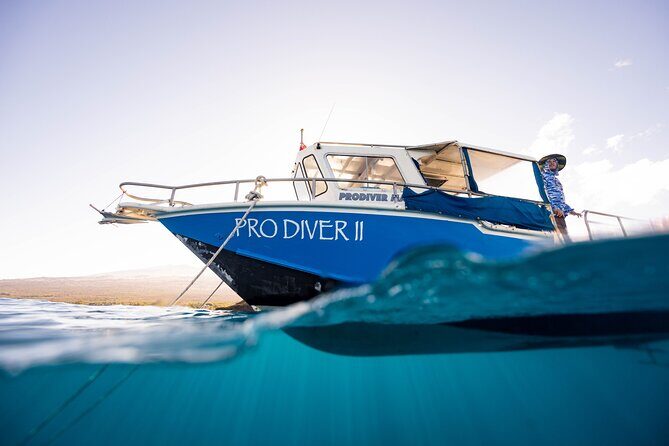 2-Tank Dive Featuring the Molokini Crater - What Travelers Love About This Tour