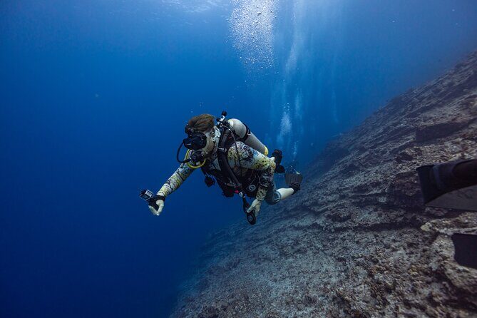 2-Tank Dive Featuring the Molokini Crater - Who Will Love This Tour?