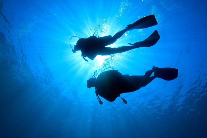 2 Tank Dive (for certified divers) - Who Will Love This Dive?