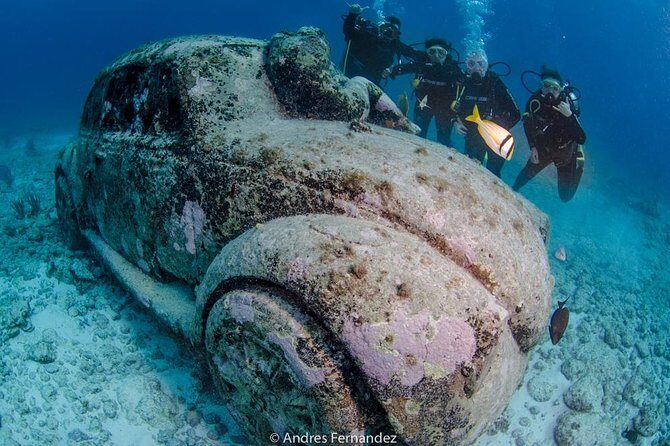 2 Tank Dives MUSA and Manchones reef (Certified divers) - The Sum Up
