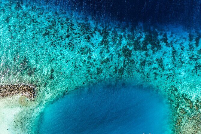 2 Tank Guided Dive half-day - An In-Depth Look at the Tour Experience