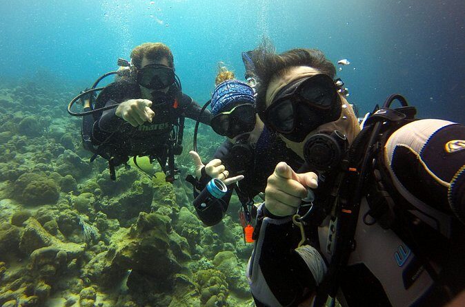 2 tank guided dive House Reef (Pierbaai Reef and Car Pile) - The Sum Up: Is This Tour Right for You?