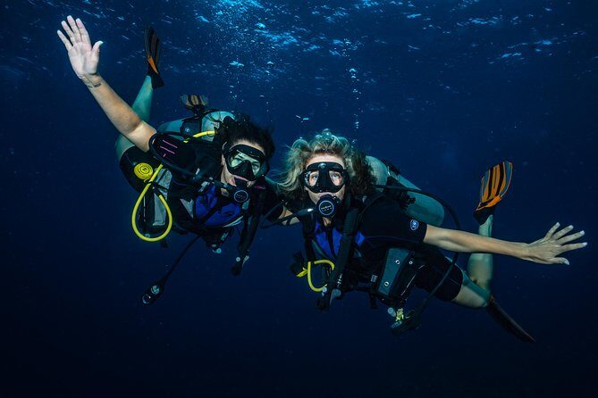 2-Tank Maui Turtle Scuba Dive or Snorkel Boat Tour - Final Words