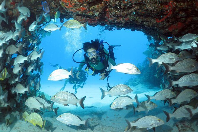 2-Tank Morning or Afternoon Dives in Playa del Carmen certified Divers Only - What the Reviews Say