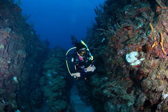 2-Tank Scuba Boat Trip in World-Class Sites @ Copamarina - An In-Depth Look at the Puerto Rican Underwater Adventure