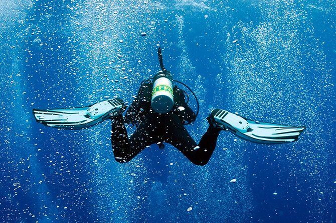 2 Tank Shore Dive at Sea Turtle Cove - Key Points
