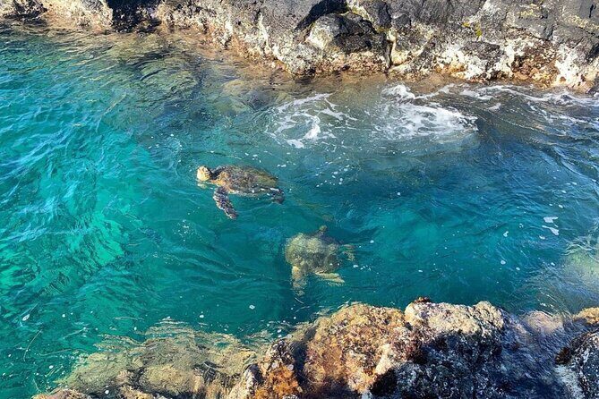 2 Tank Shore Dive at Sea Turtle Cove - FAQs