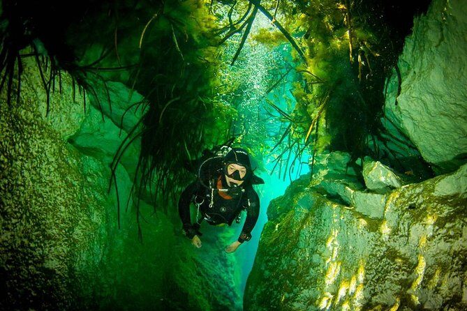 2 tanks Cenote Diving Adventure in Tulum for Certified Divers - Who Is This Tour Best For?