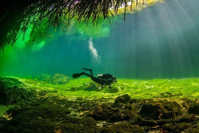2 tanks Cenote Diving Adventure in Tulum for Certified Divers - Frequently Asked Questions