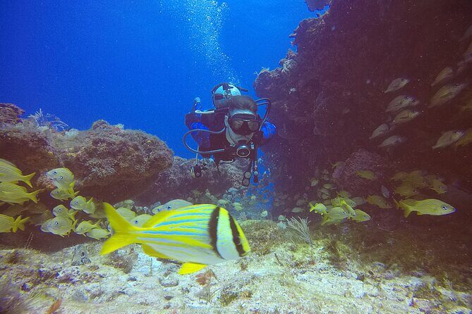 2 Tanks Scuba Diving in Punta Cancun Reefs for Certified Divers - Key Points