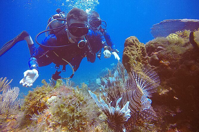 2 Tanks Scuba Diving in Punta Cancun Reefs for Certified Divers - Analyzing the Value