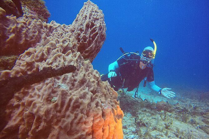 2 Tanks Scuba Diving in Punta Cancun Reefs for Certified Divers - Practical Tips for Participants