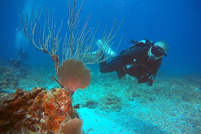 2 Tanks Scuba Diving Wreck and Reef in Cancun for Certified Divers - Who Will Love This Tour?