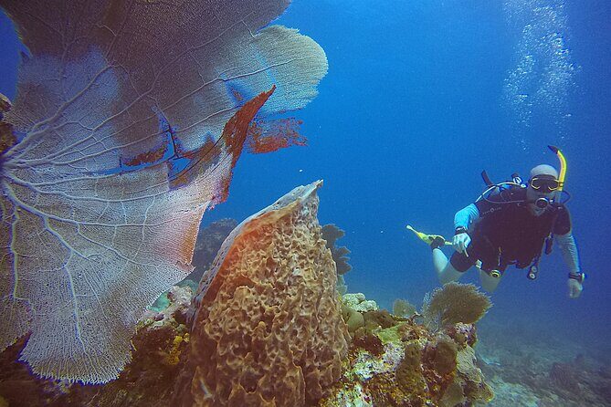 2 Tanks Scuba Diving Wreck and Reef in Cancun for Certified Divers - FAQ