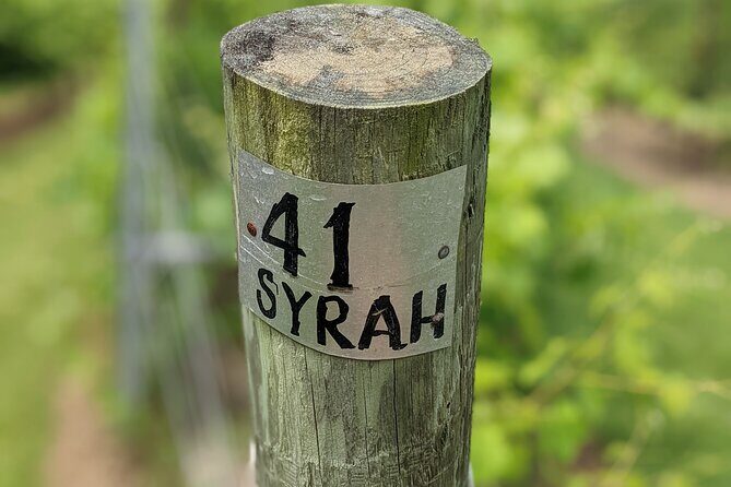 2 Vineyard Wine Tour of Western NC - The Sum Up