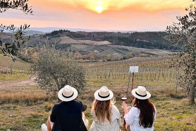 2 wineries Chianti Wine Tasting & Vineyards Walk Private Tour - Key Points