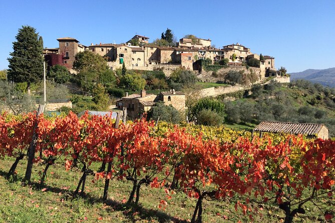 2 wineries Chianti Wine Tasting & Vineyards Walk Private Tour - What You’ll Experience and Why It Matters
