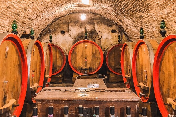 2 wineries Chianti Wine Tasting & Vineyards Walk Private Tour - Who Will Love This Tour?