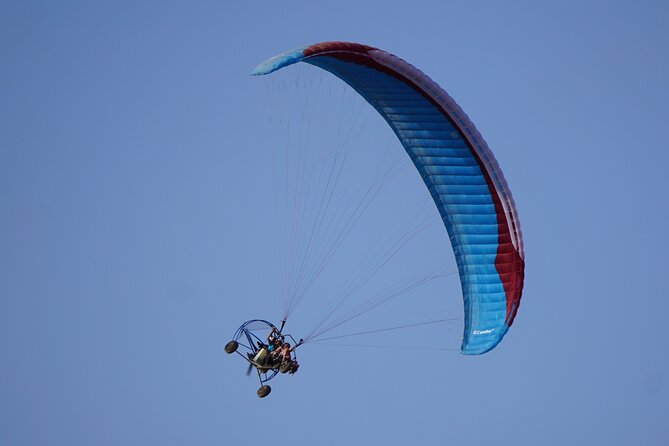 20 Minute Private Paratrike Flight over Tenerife South - Authentic Reviews and What They Tell Us