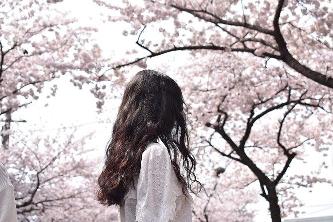 2025 Cherry Blossom East Day Tour in Jeju with UNESCO - Key Points