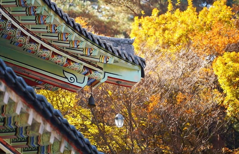 2025 Jeju Autumn Tour with Pink Muhly Festival - Key Points