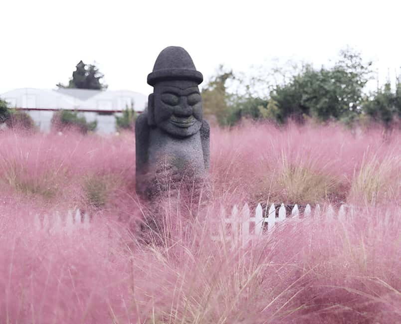 2025 Jeju Autumn Tour with Pink Muhly Festival - Introduction: An Autumn Escape to Jeju