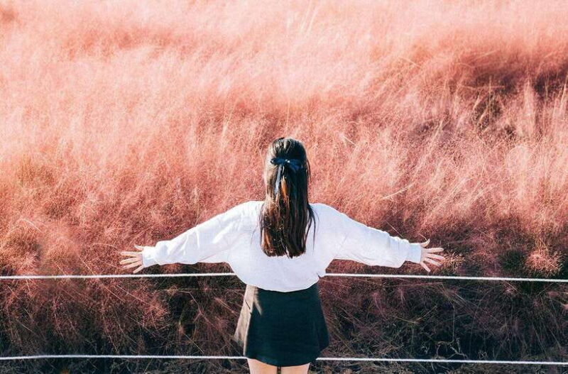 2025 Jeju Autumn Tour with Pink Muhly Festival - Key Points