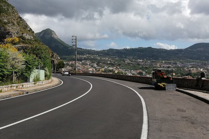 24/7 Private Intercity Transfers From Naples Airport/Station/Port - Customer Reviews