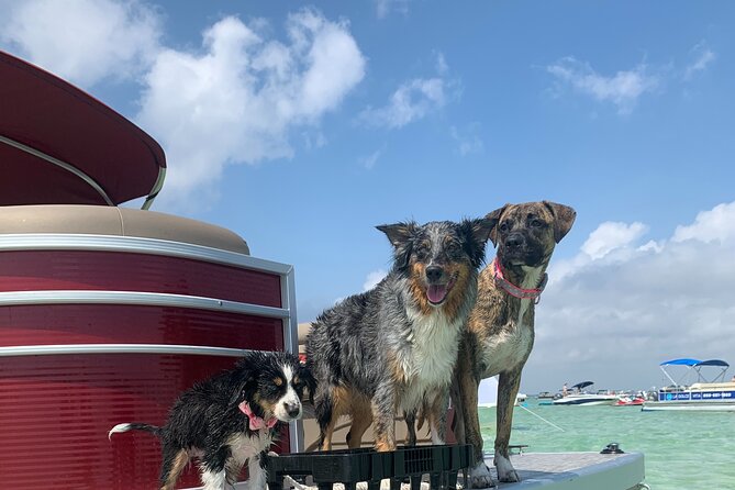 24ft (12 Passenger) Pontoon Boat Rental in Destin/Crab Island - Exploring Destin’s Waterways: What the Experience Offers