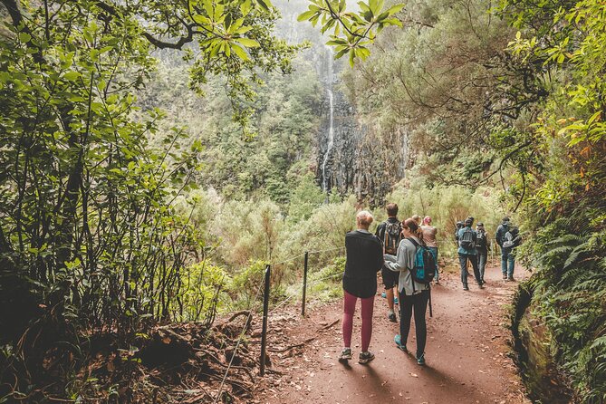 25 Fountains Levada: Hiking Tour in Madeira Rabaçal Valley (PR6) - Transportation and Pickup Details