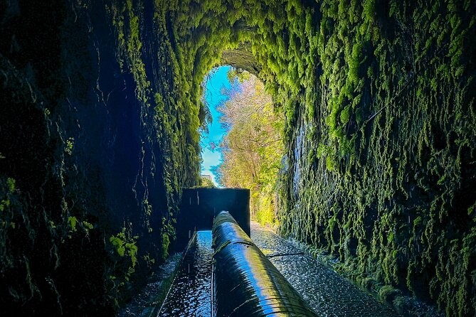 25 Fountains Levada: Hiking Tour in Madeira Rabaçal Valley (PR6) - Tips for a Successful Hiking Adventure