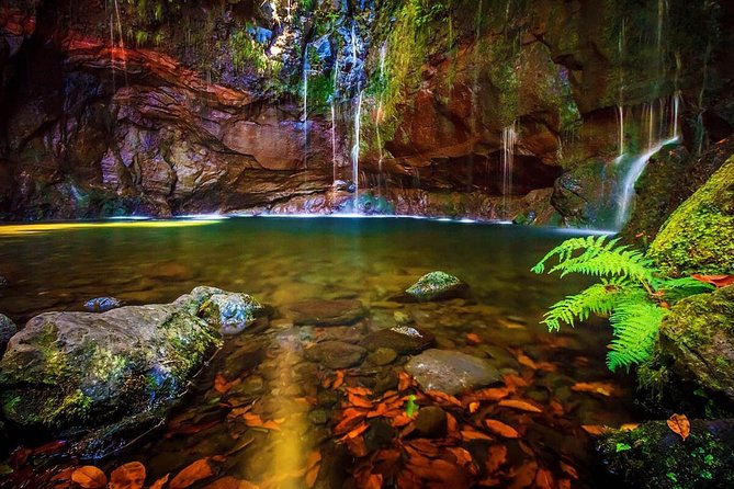 "25 Fountains" Walk / Lost In The Beautiful Forest - Introduction