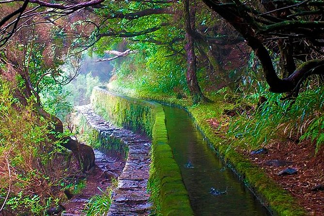 "25 Fountains" Walk / Lost In The Beautiful Forest - Who Is This Tour Best Suited For?