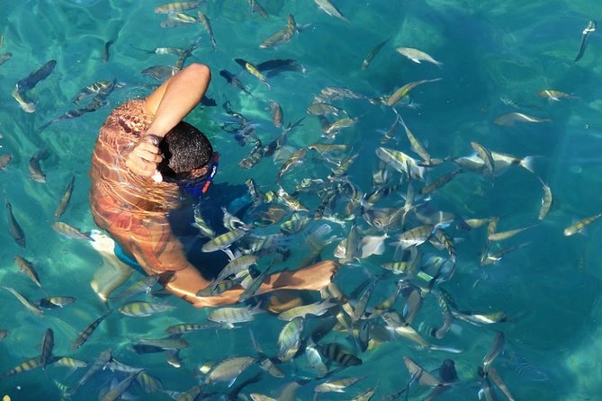 25 - Full Day Tour to Angra Dos Reis and Ilha Grande - Anticipated Tour Experiences and Activities