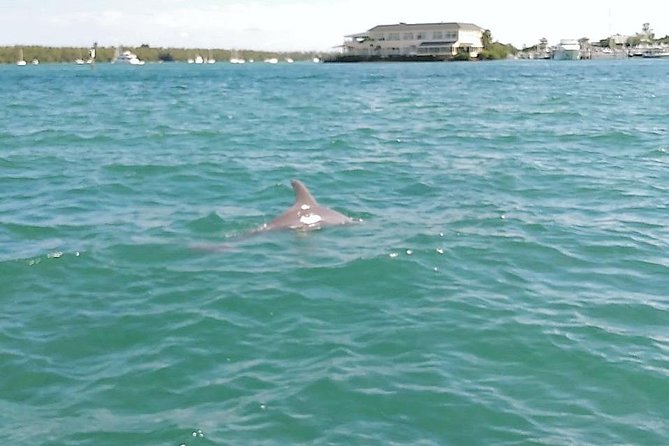 26 Ft Boat, Miami Bay Tour for 2 or 4 hours. 10 people - Booking and Practical Tips