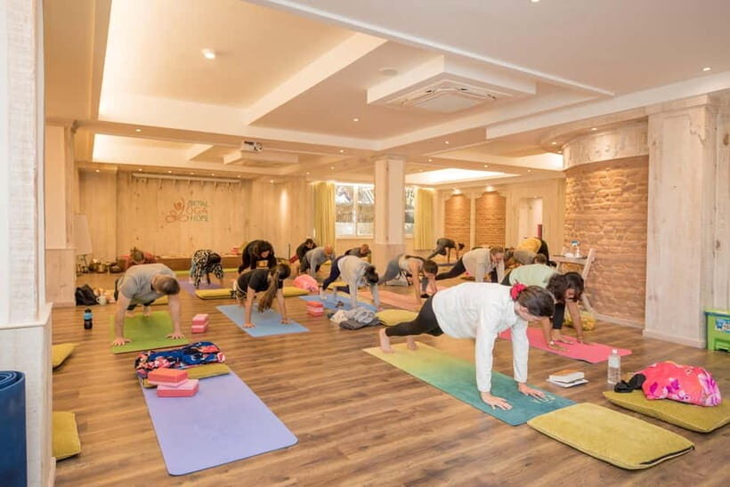 29-Day Yoga in Nepal: 500 Hour Yoga Teacher Training - Authentic Feedback from Past Participants