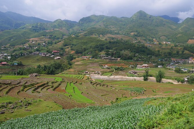 2D1N Buffalo trek by Hmong Sister House and Trekking - Who Will Love This Tour?