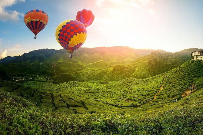 2D1N Cameron Highlands, Batu Caves, Ipoh, Kuala SelangorFireflies - A Deep Dive into the 2D1N Malaysia Experience